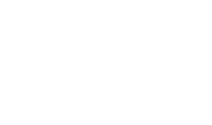 Bridge Partners | Product and Partner GTM