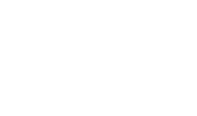 Bridge Partners | Product and Partner GTM