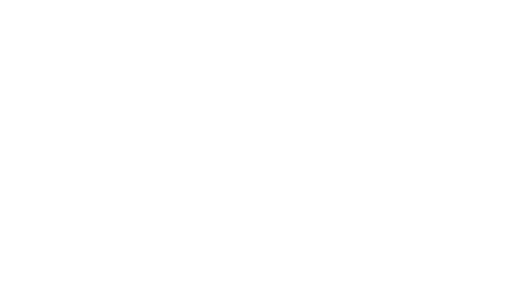 Bridge Partners | Product and Partner GTM