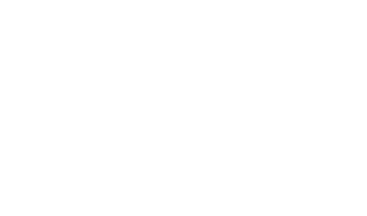 Bridge Partners | Product and Partner GTM